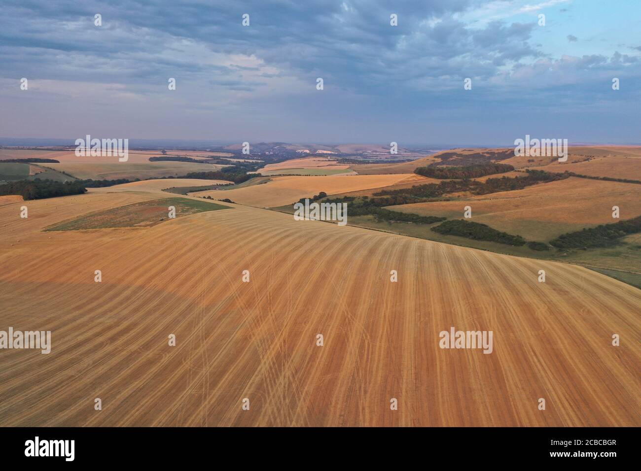 Corn rows, aerial views Stock Photo - Alamy
