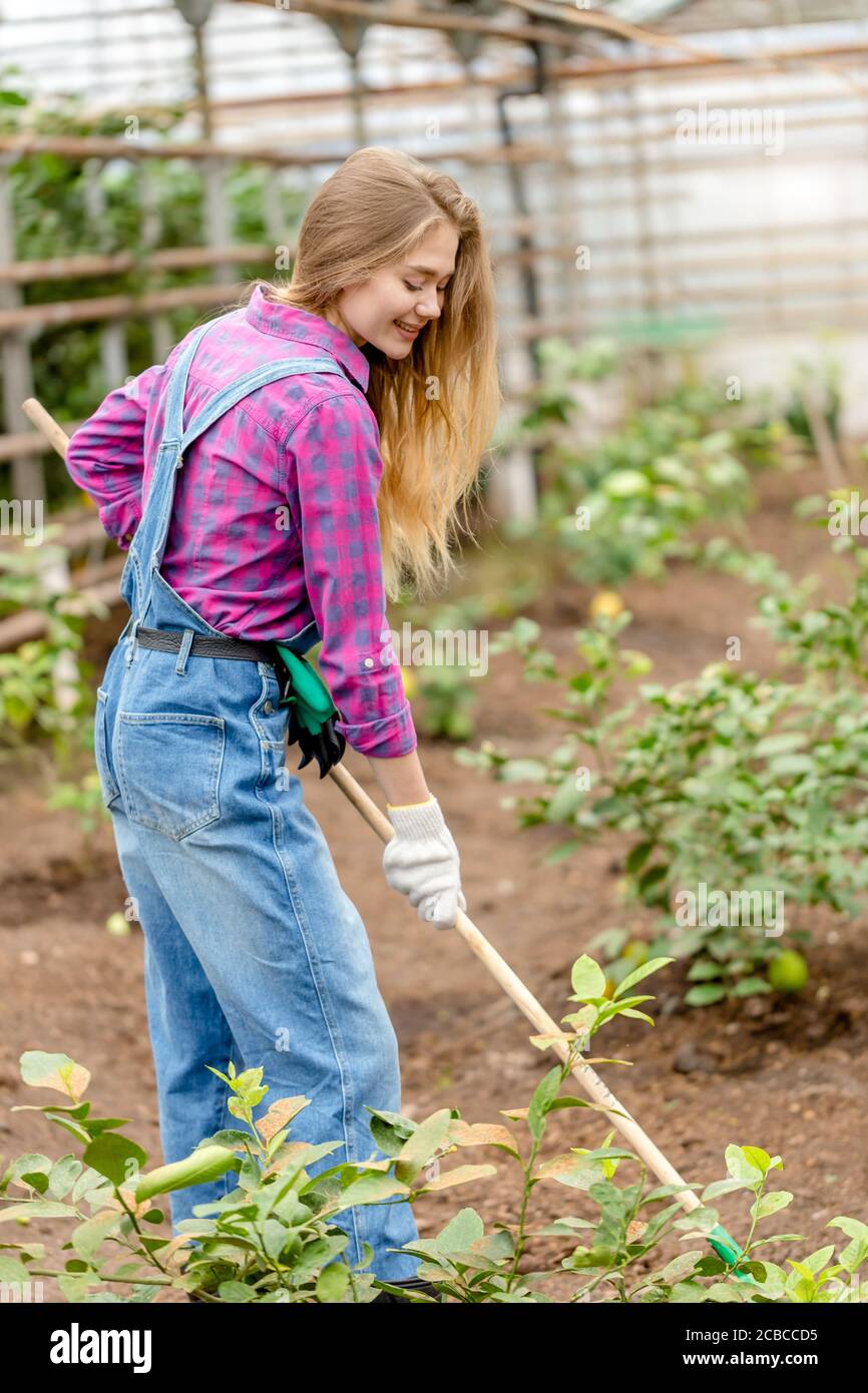 hardworking gardener is cleaning the area. side view shot.job ...
