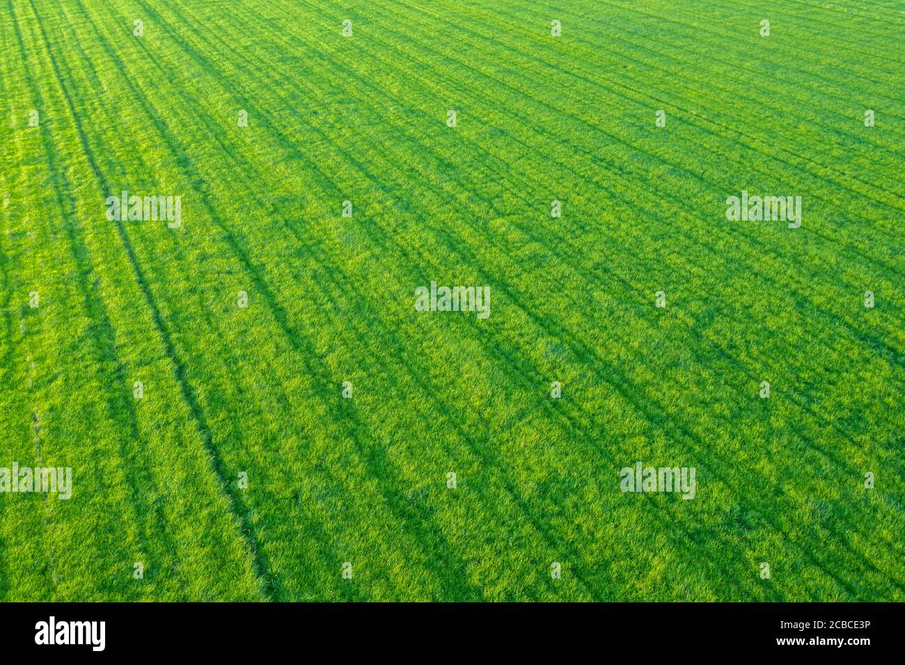 Aerial Abstract Background Of Diagonal Row Lines In An Agricultural ...