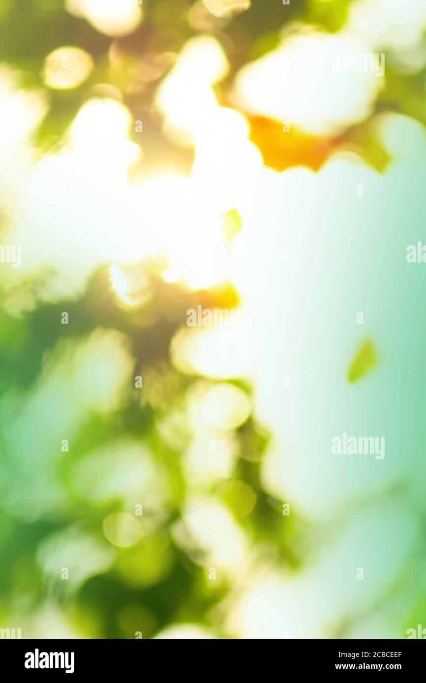 Light Color Background High Resolution Stock Photography and Images - Alamy