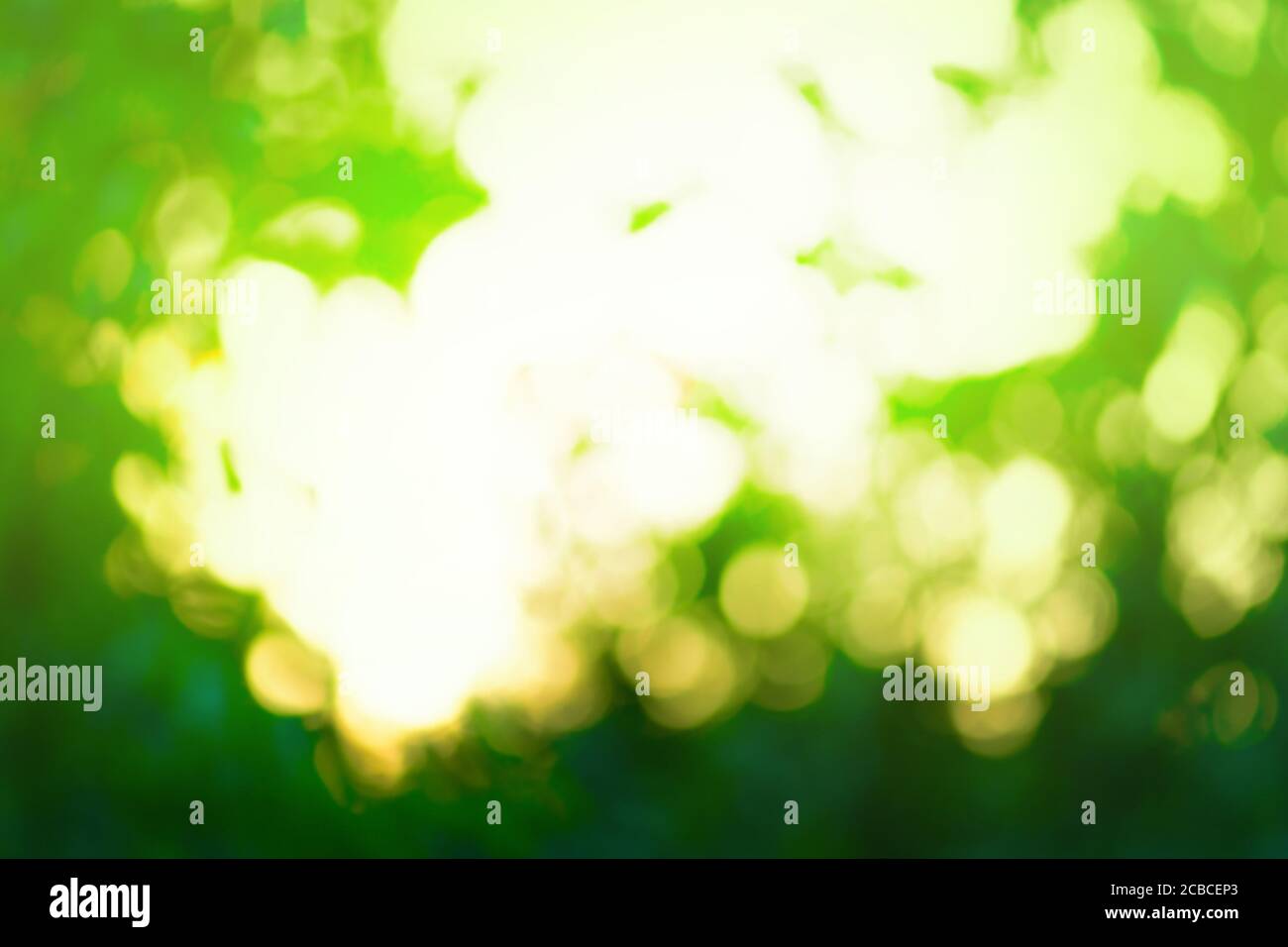 Light Color Background High Resolution Stock Photography and Images - Alamy