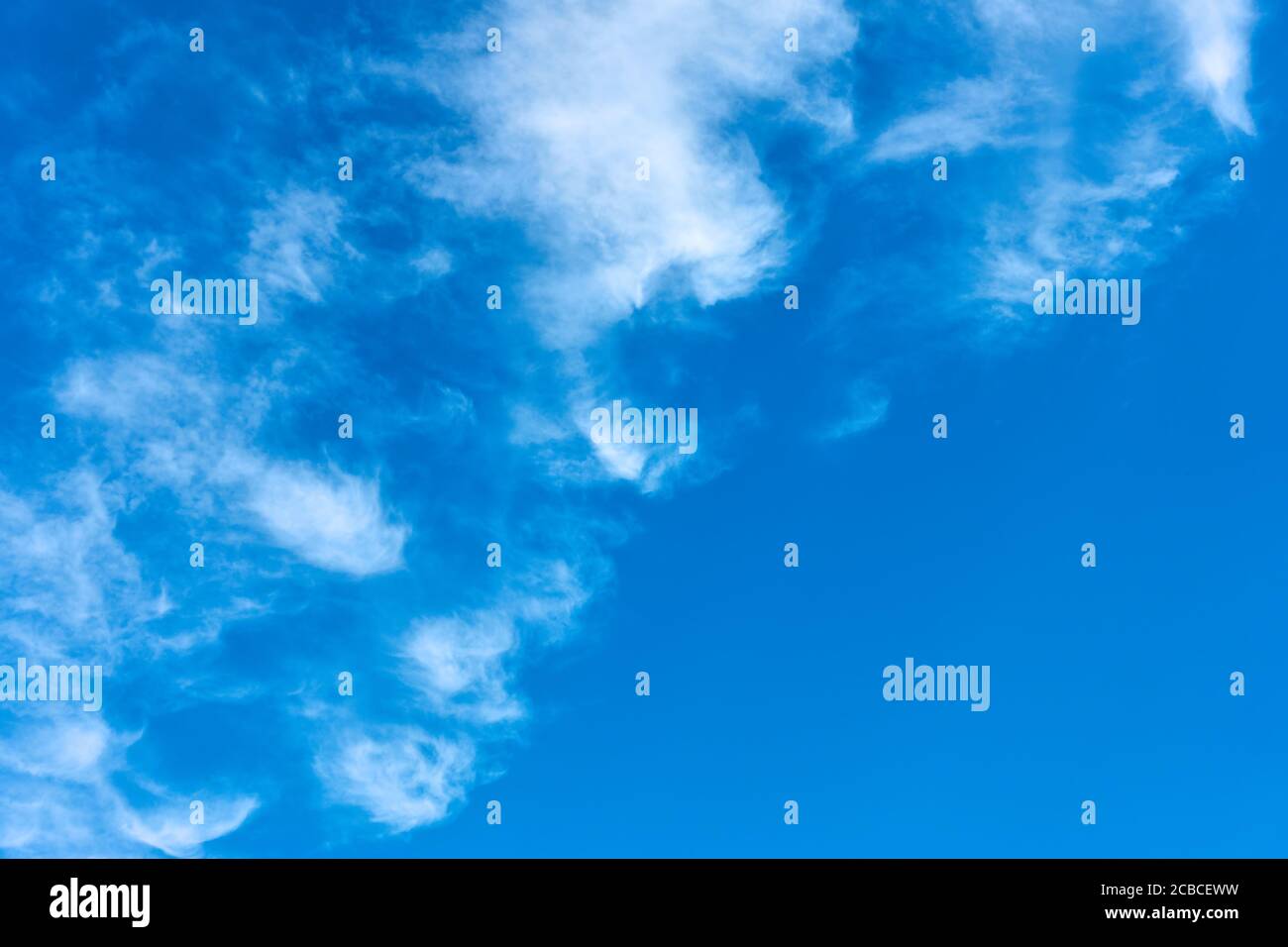 Curly blue hi-res stock photography and images - Alamy