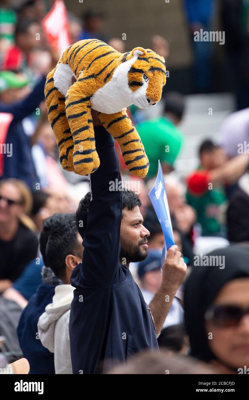 Tiger mascot hi-res stock photography and images - Alamy