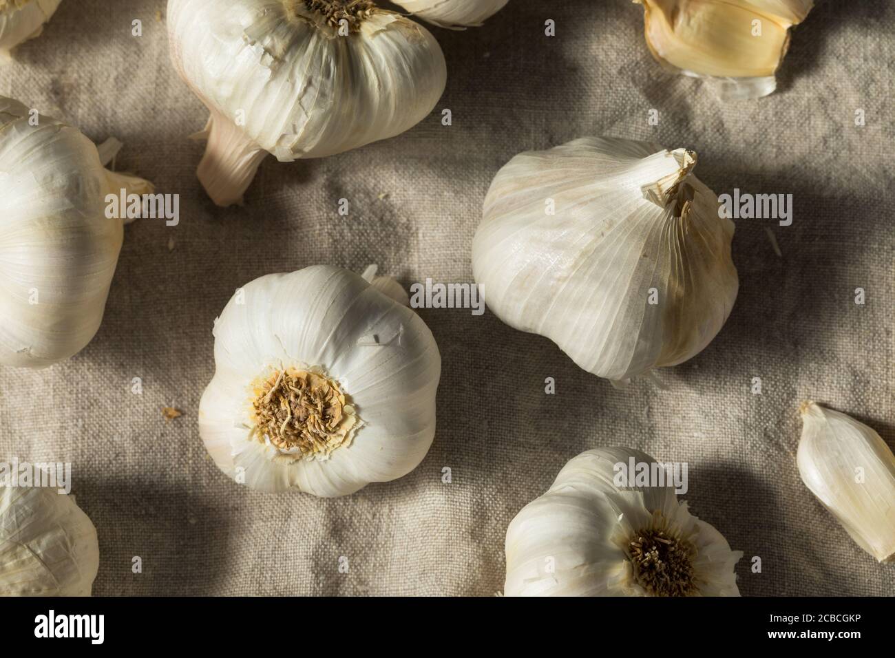 Raw White Organic Garlic Bulbs Ready to Cook With Stock Photo - Alamy