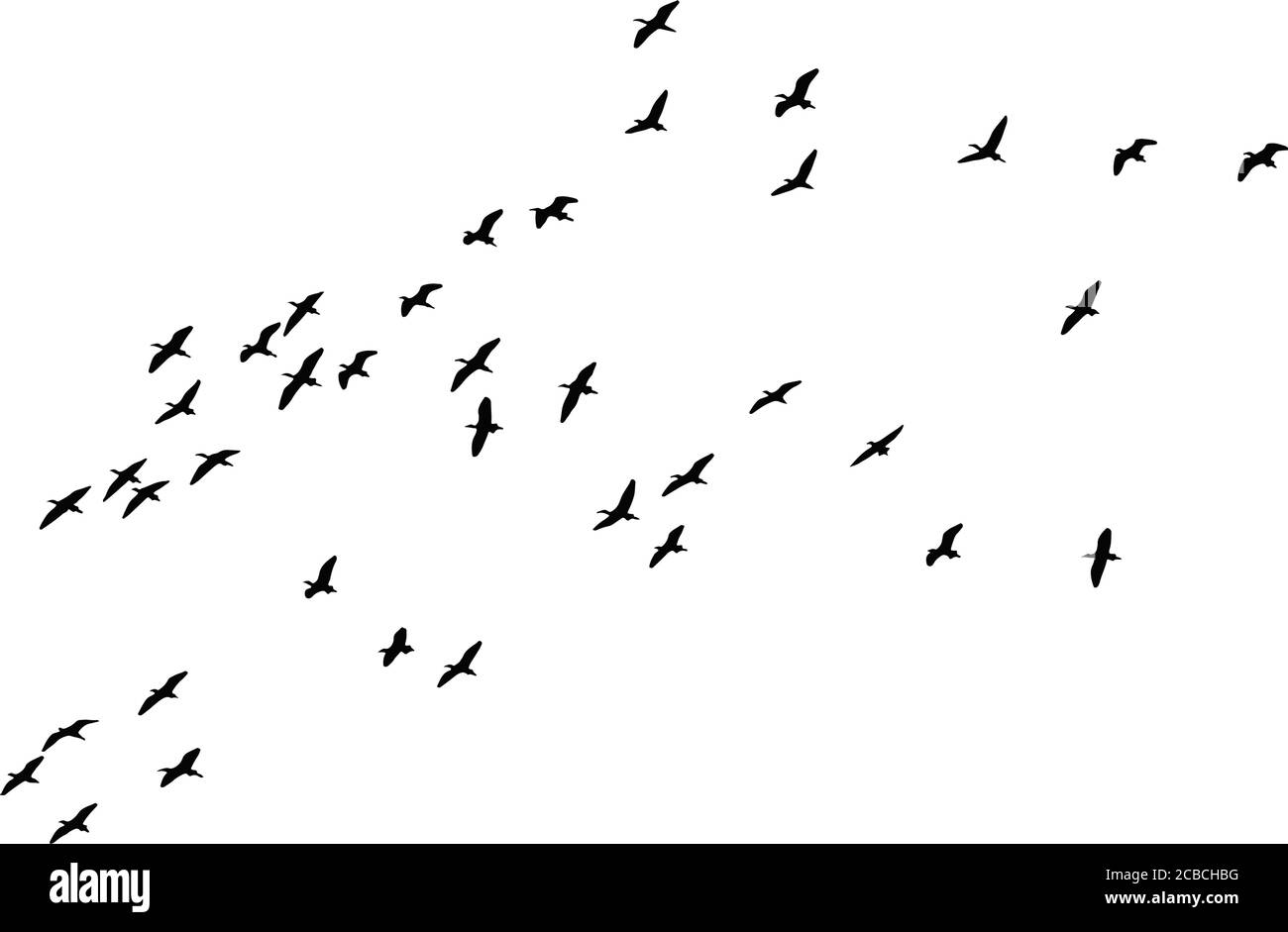 Flying birds. Flock of birds. Vector image. White background Stock ...