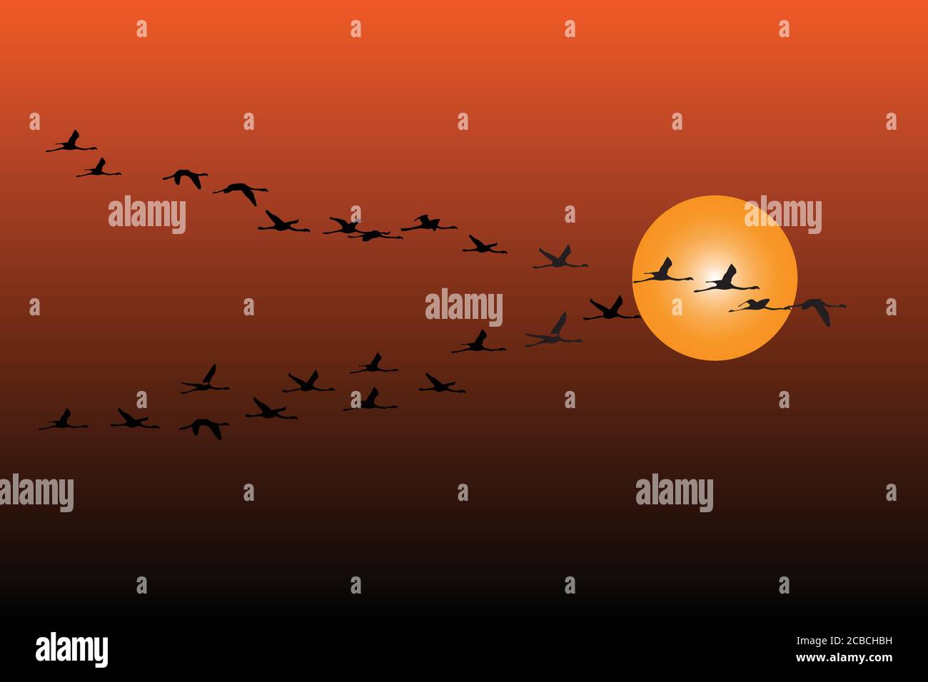 Flying flamingo Stock Vector Images - Alamy