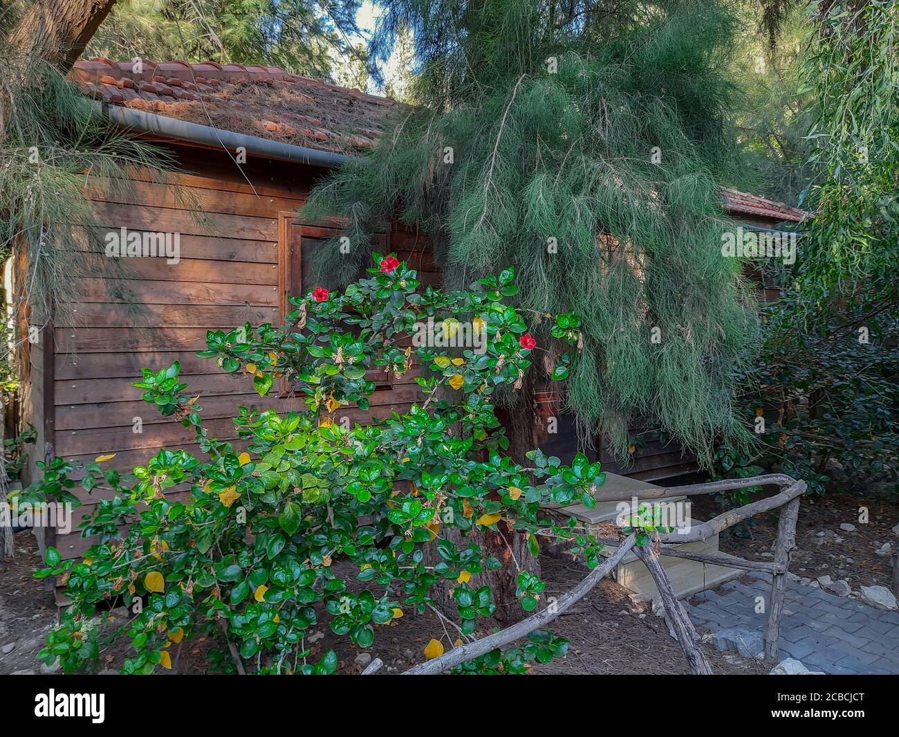 a beautiful wooden cabin between forests in Jordan Stock Photo - Alamy