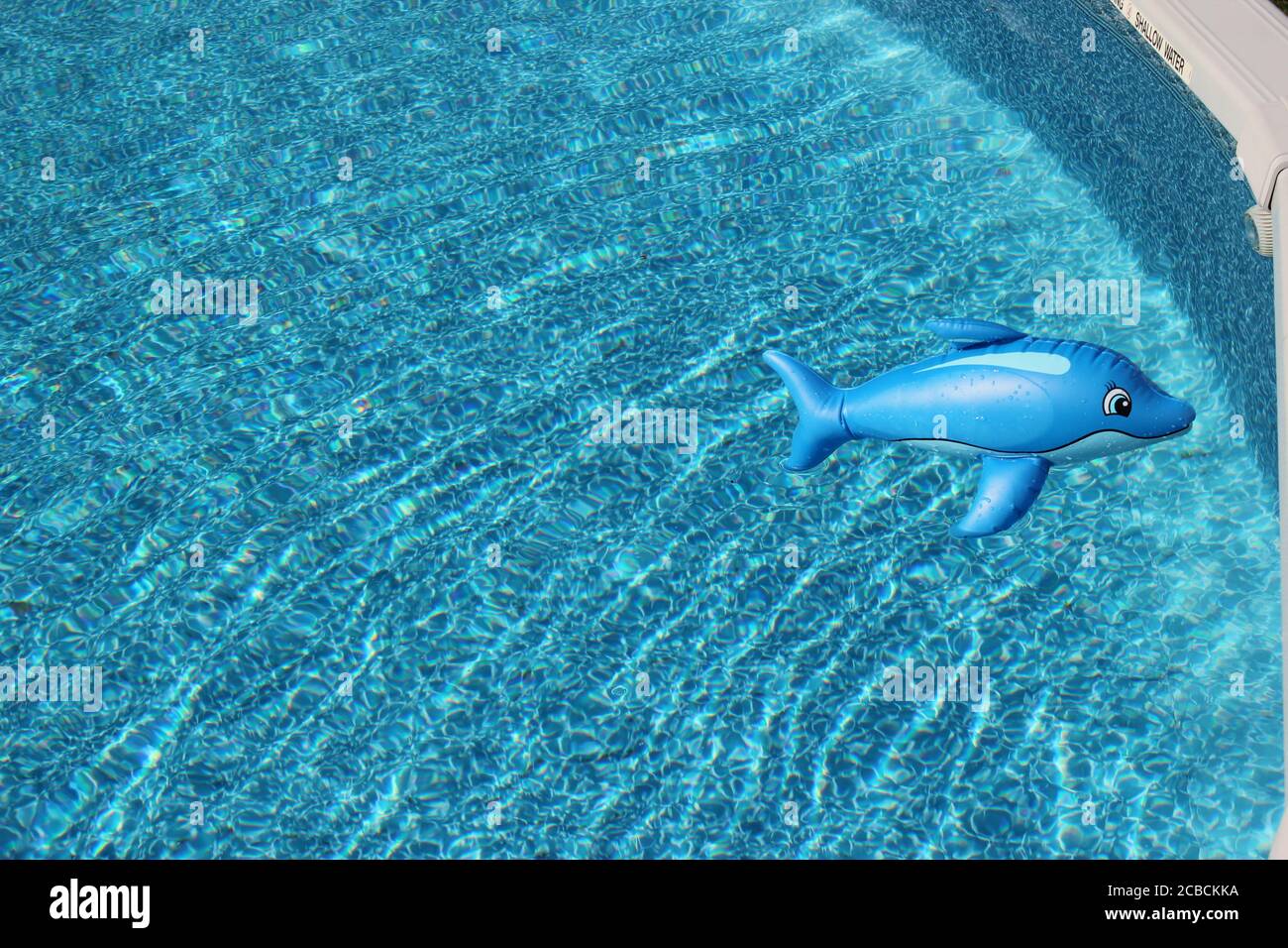 Blue plastic dolphin hi-res stock photography and images - Alamy