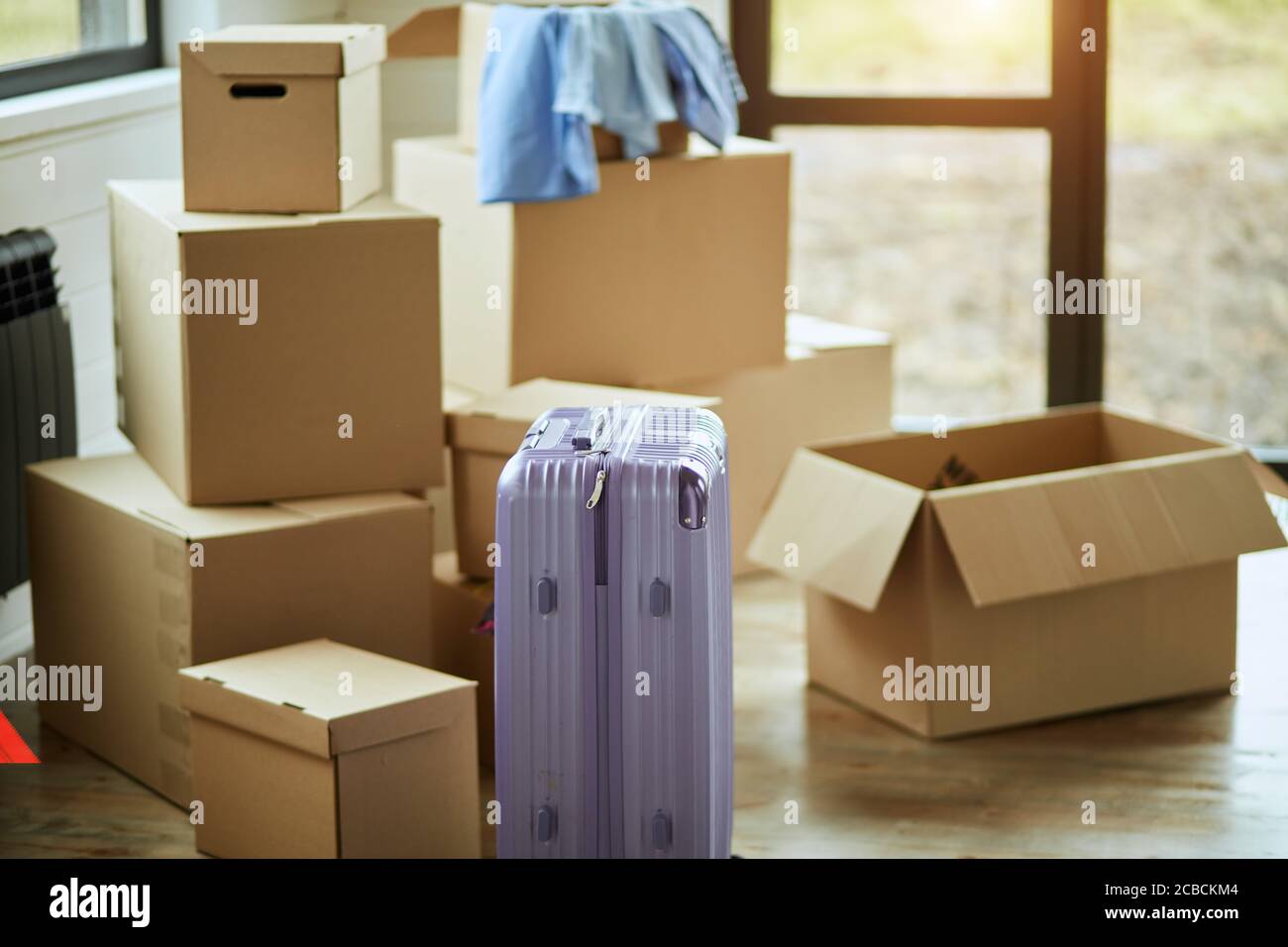 Pile of moving carton boxes, suitcase and two flowers in pots stand in ...