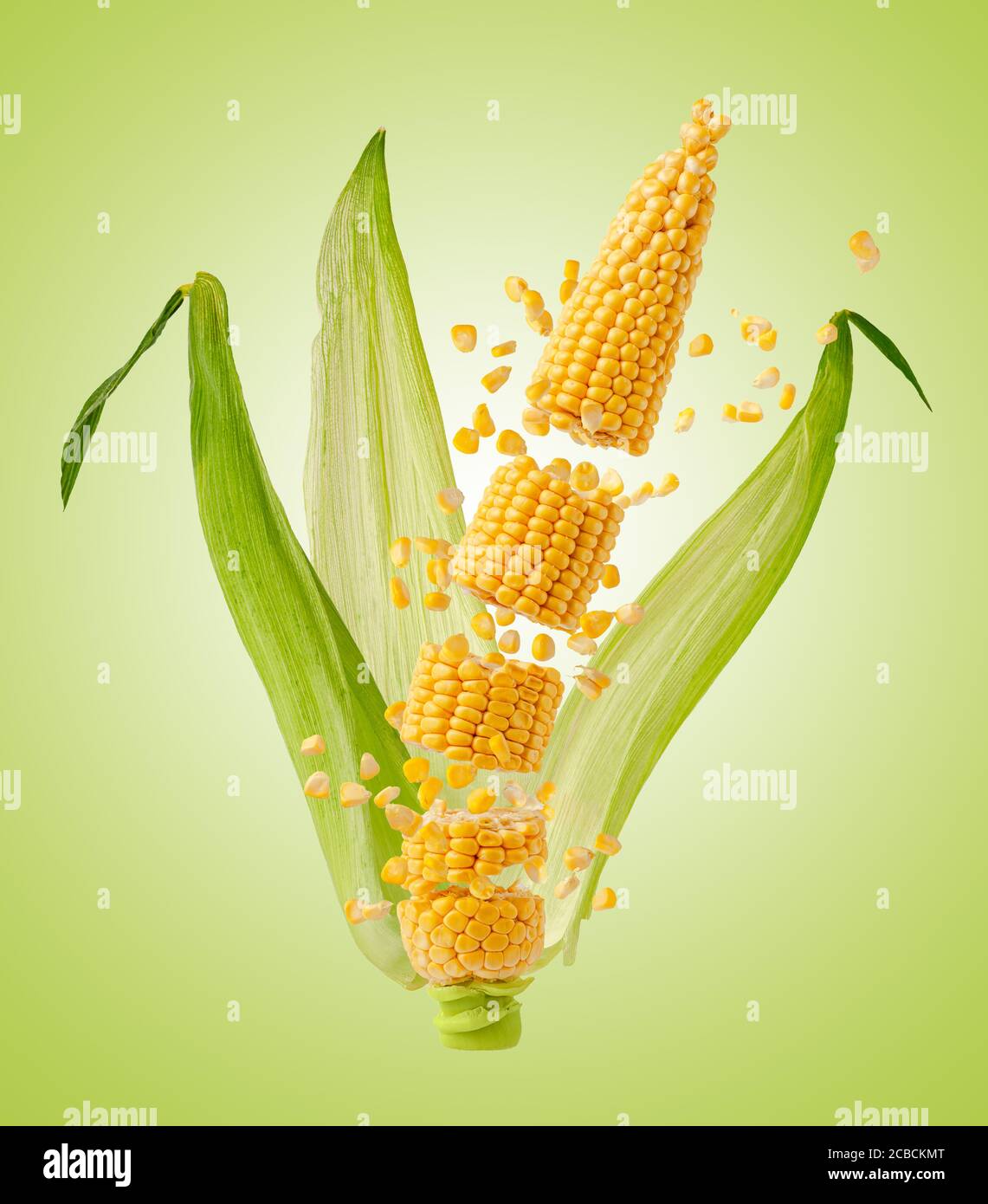 Corn Background Design