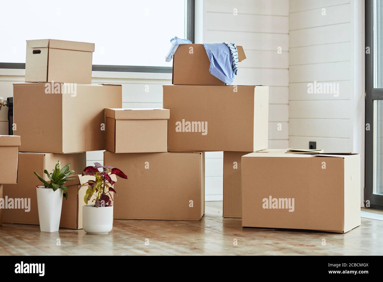 Twelve carton boxes with household stuff in light living room on moving ...