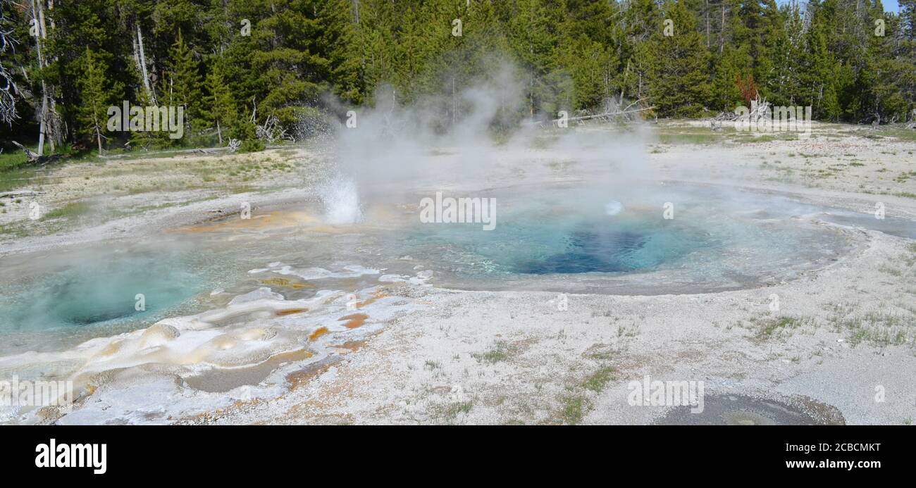 Late Spring in Yellowstone National Park: Spasmodic Geyser Erupts in ...