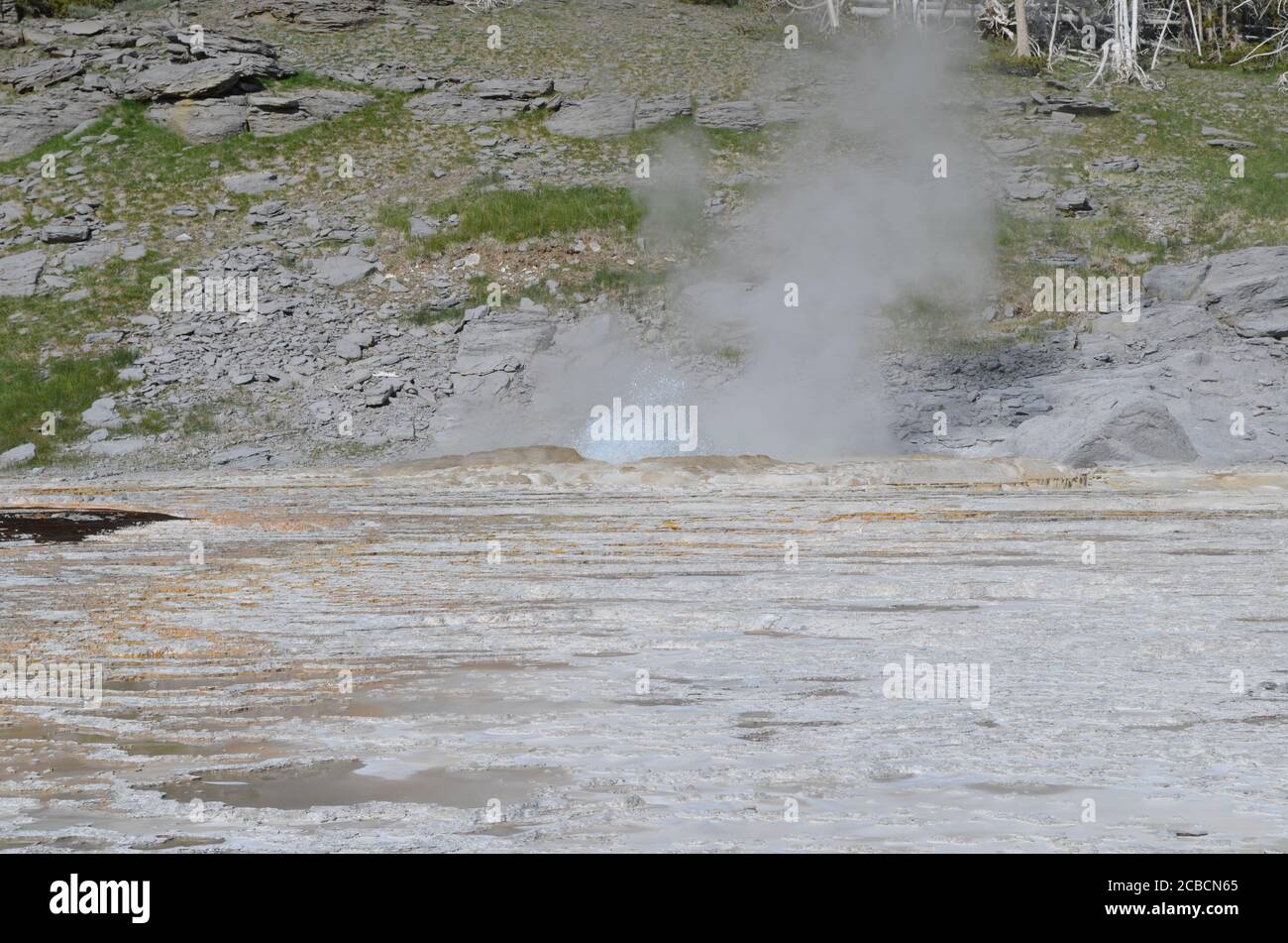 Late Spring in Yellowstone National Park: Turban Geyser of the Grand ...