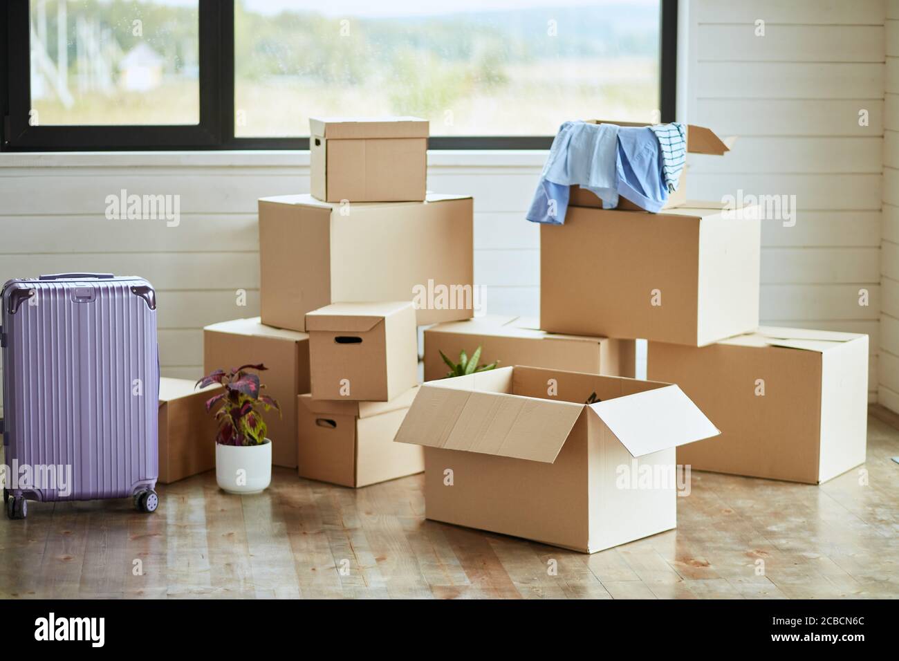 Ten moving carton boxes, suitcase and two flowers in pots stand in hall ...
