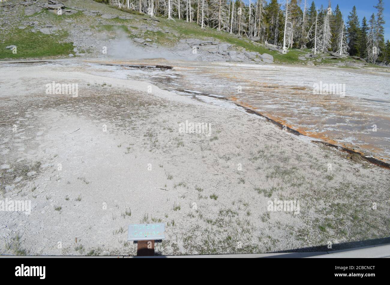 YELLOWSTONE NATIONAL PARK, WYOMING - JUNE 8, 2017: Turban Geyser of the ...