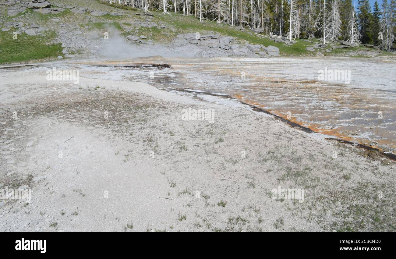 Late Spring in Yellowstone National Park: Turban Geyser of the Grand ...