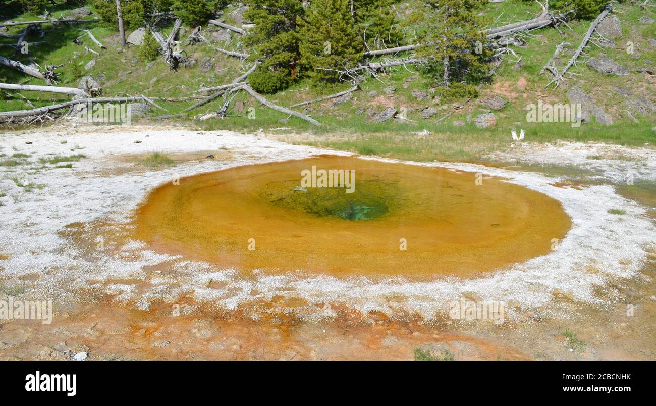 Late Spring in Yellowstone National Park: Wave Spring of the Grand ...