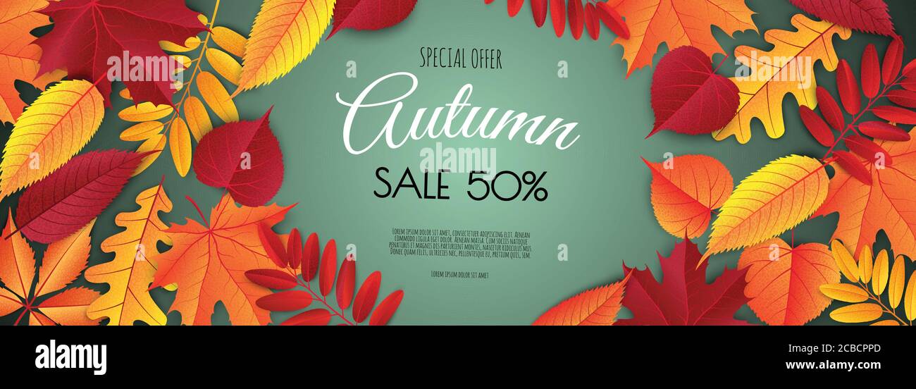 Autumn sale flyer template. Bright fall leaves. Poster, card, label ...