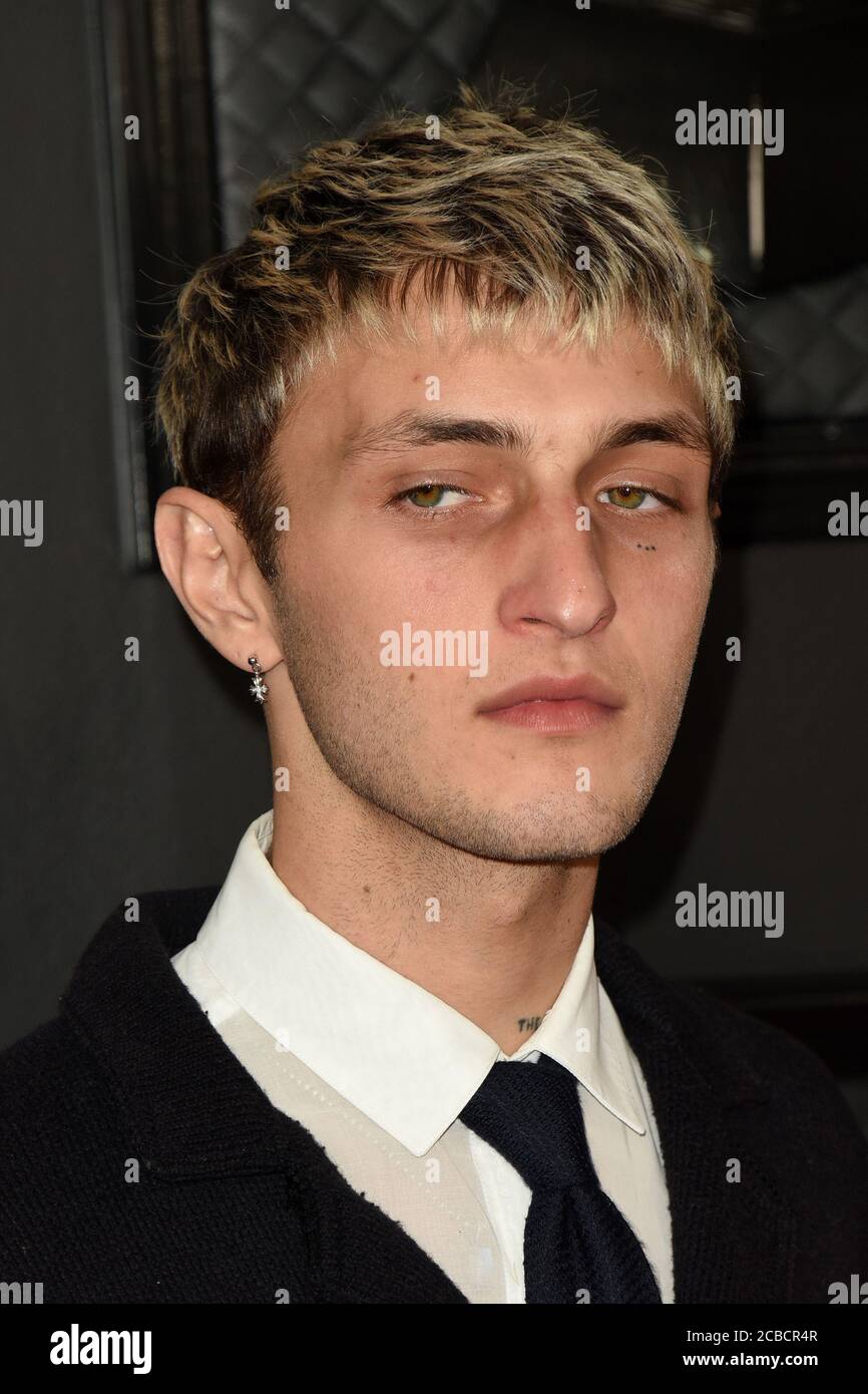 LOS ANGELES - JAN 26: Anwar Hadid at the 62nd Grammy Awards at the ...