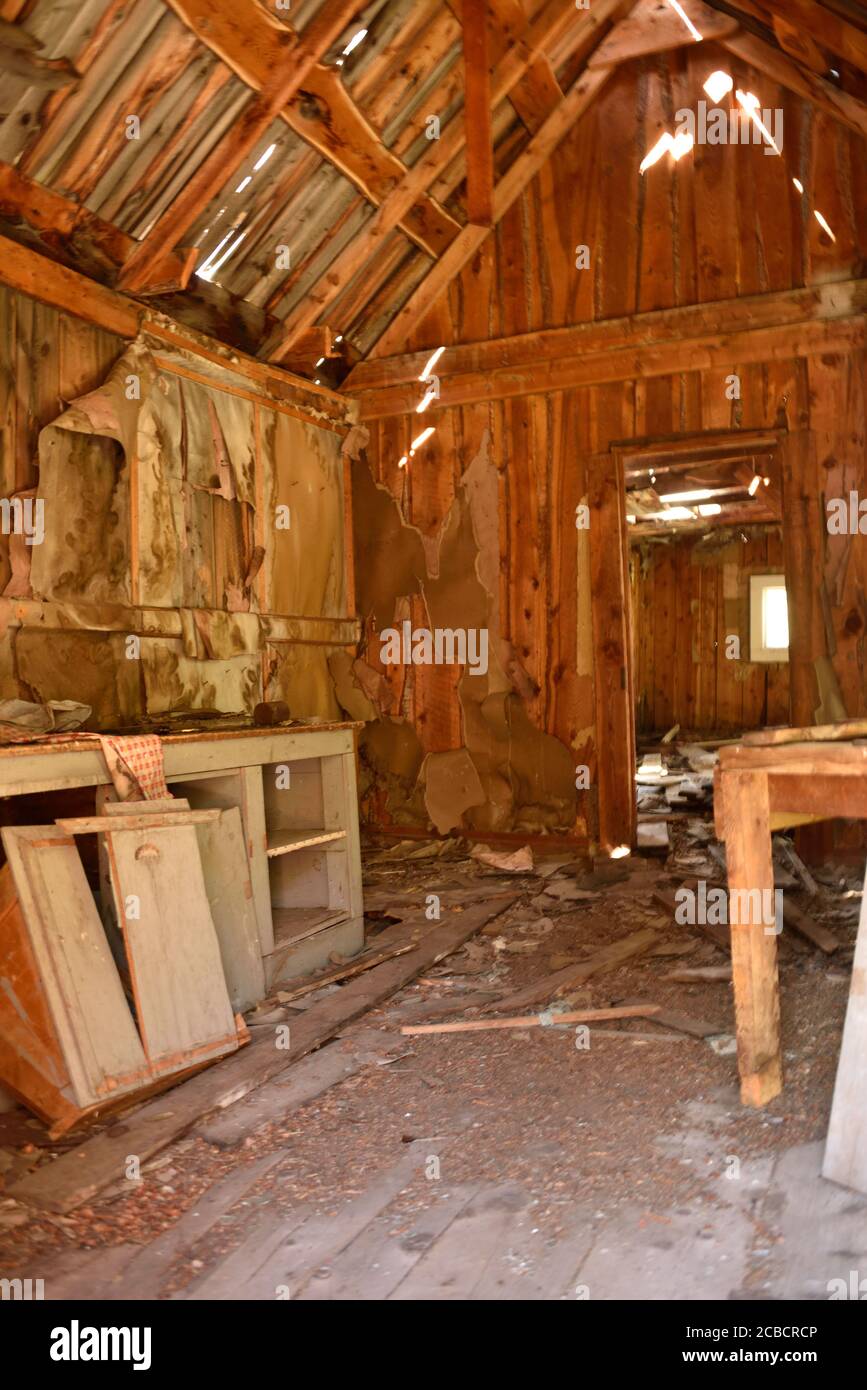 Inside of abandoned miners cabin located high in Idaho mountains Stock ...