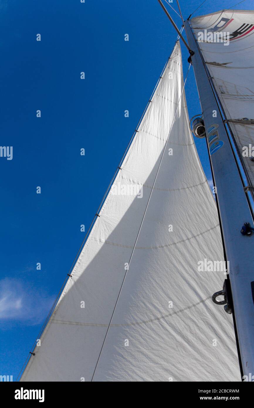 Bottom view of mast and sail of yacht on blue sky background, selective ...