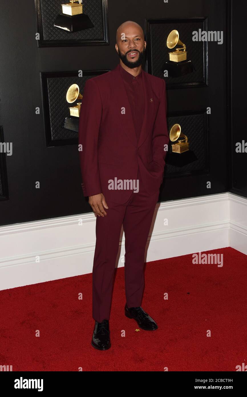 LOS ANGELES - JAN 26: Common at the 62nd Grammy Awards at the Staples ...