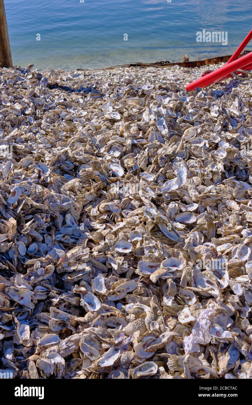 Pile of oyster shells hi-res stock photography and images - Alamy