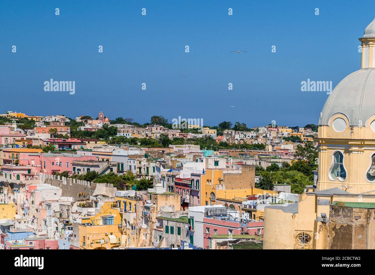 astonishing view of colorful houses on Procida island Stock Photo - Alamy