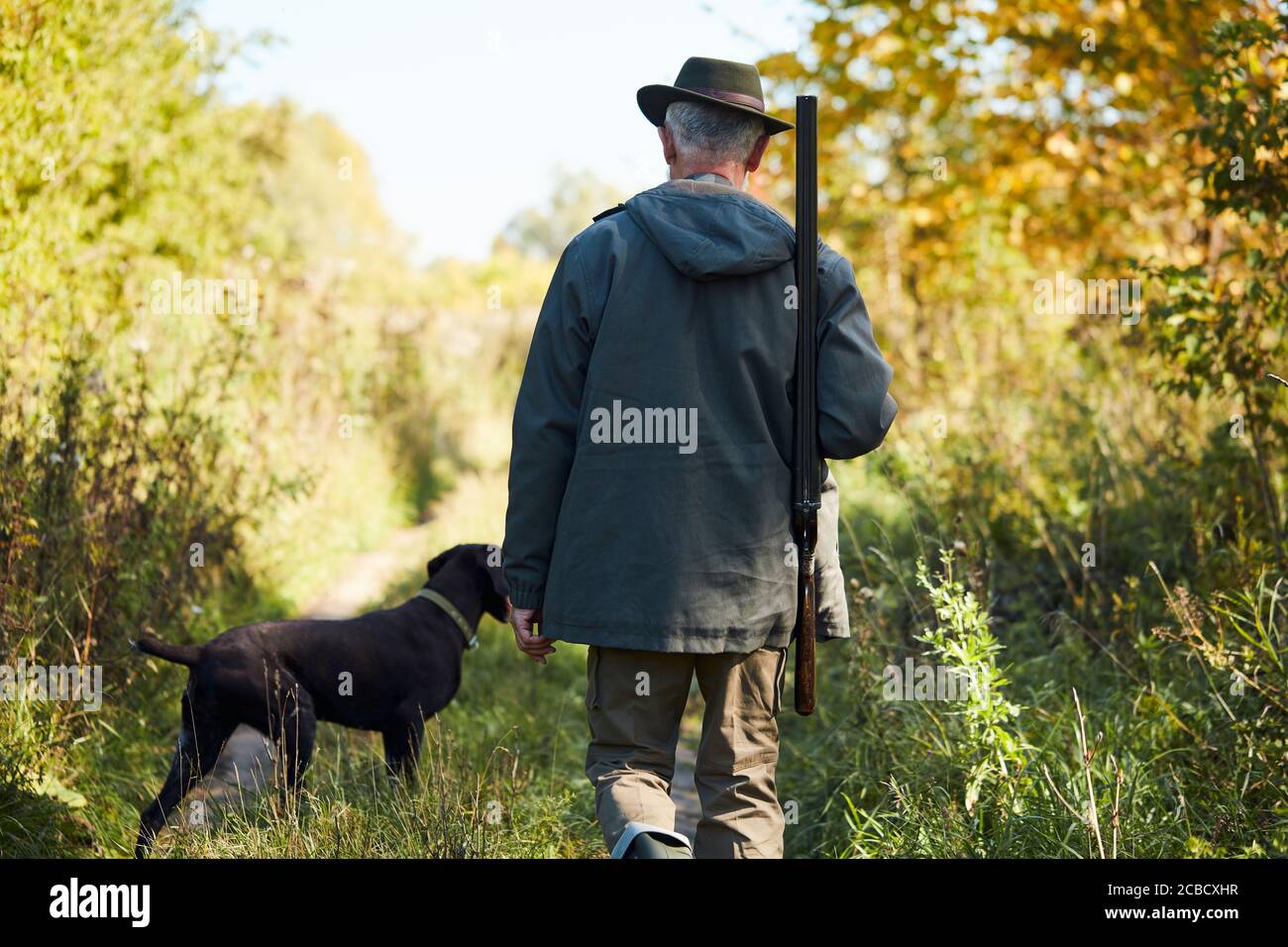 Animalshunting hi-res stock photography and images - Alamy