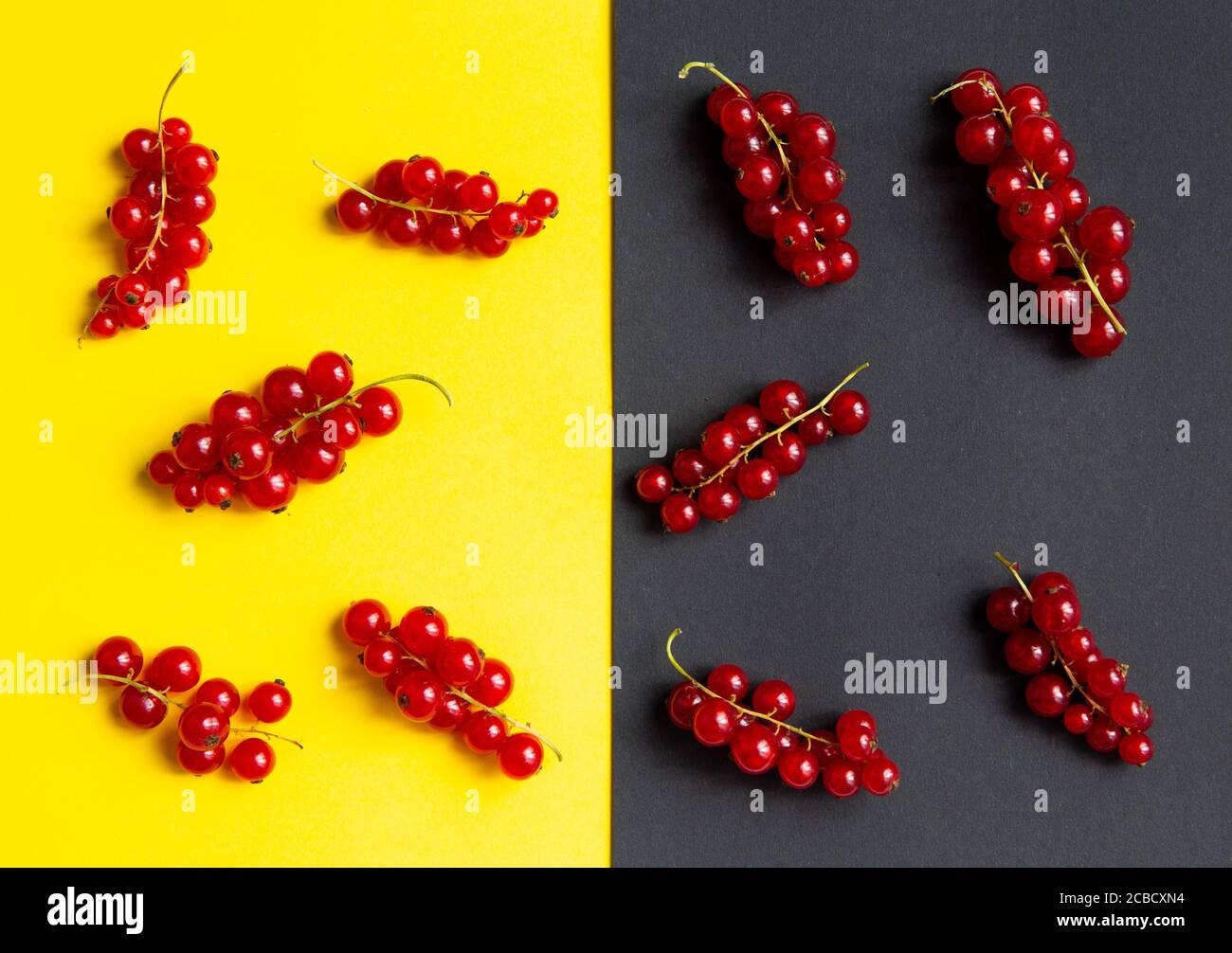 ripe red currant on yellow and black background in bright sunlight ...