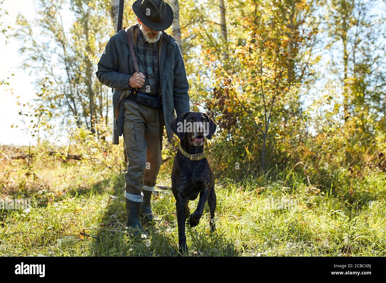 Older man hunting with his dog in forest, sunny weather, looking for ...