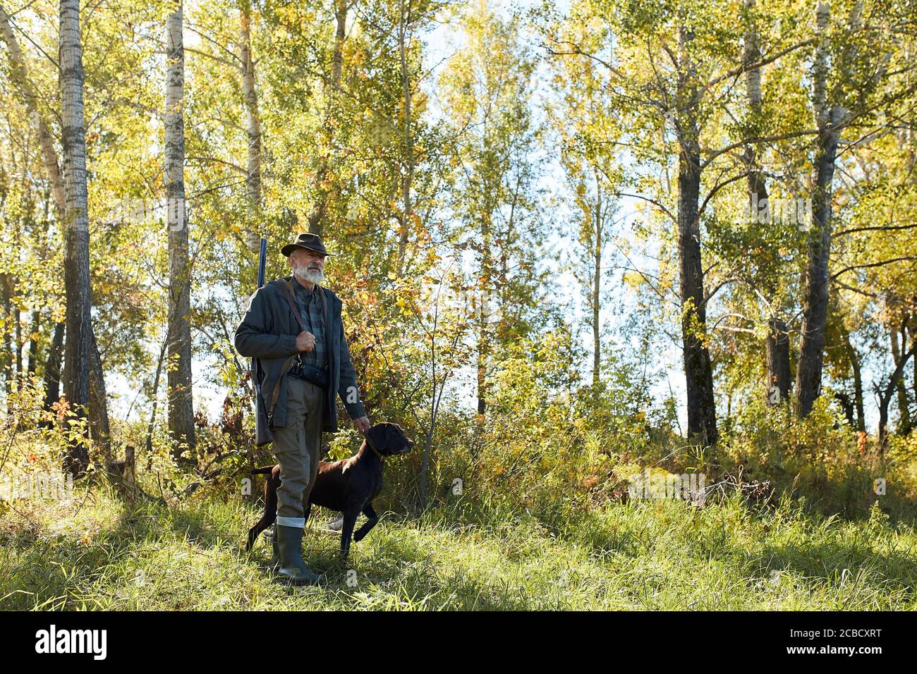 Older man hunting with his dog in forest, sunny weather, looking for ...