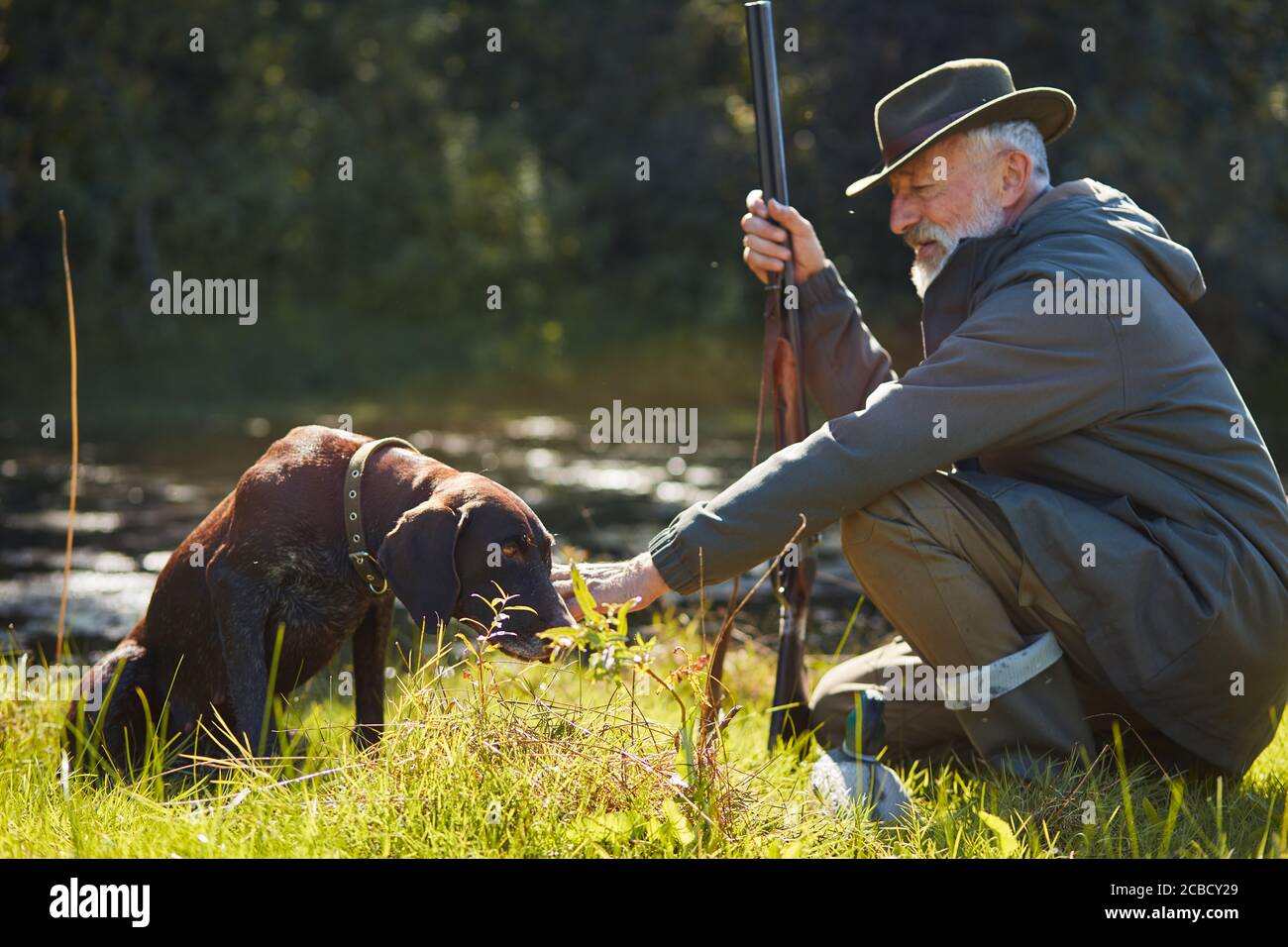 Obedient dog sitting after hunting on lake Stock Photo - Alamy