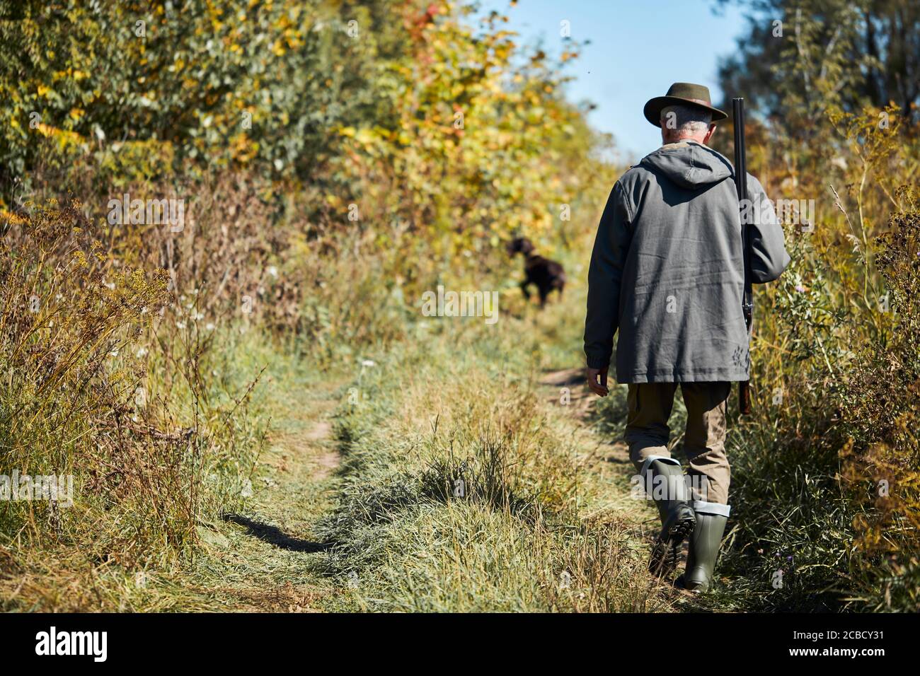 Dog seeking prey in steppe. Hunter man following labrador Stock Photo ...