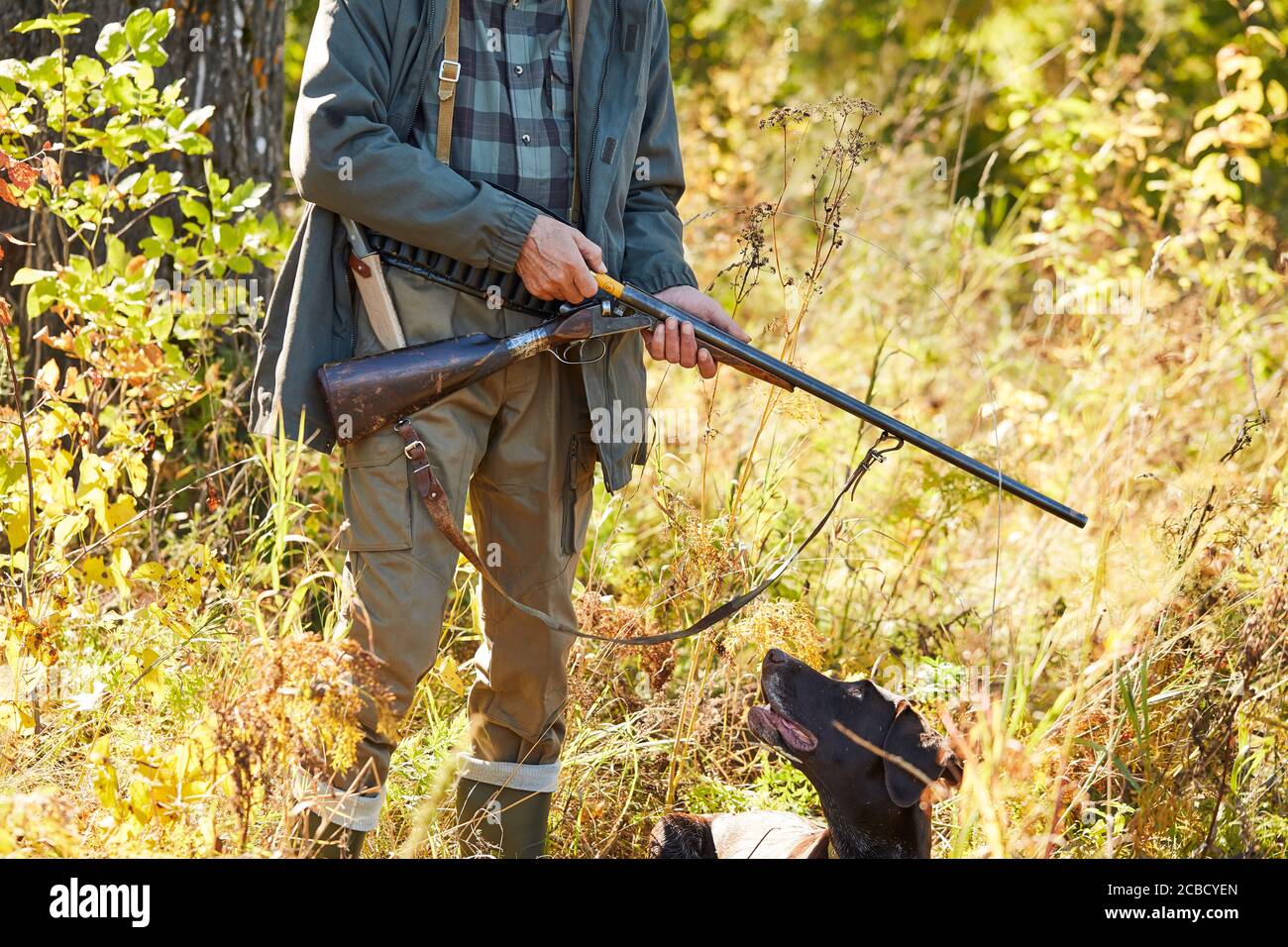 Black helper labrador with his owner hunter man in forest. Male loading ...