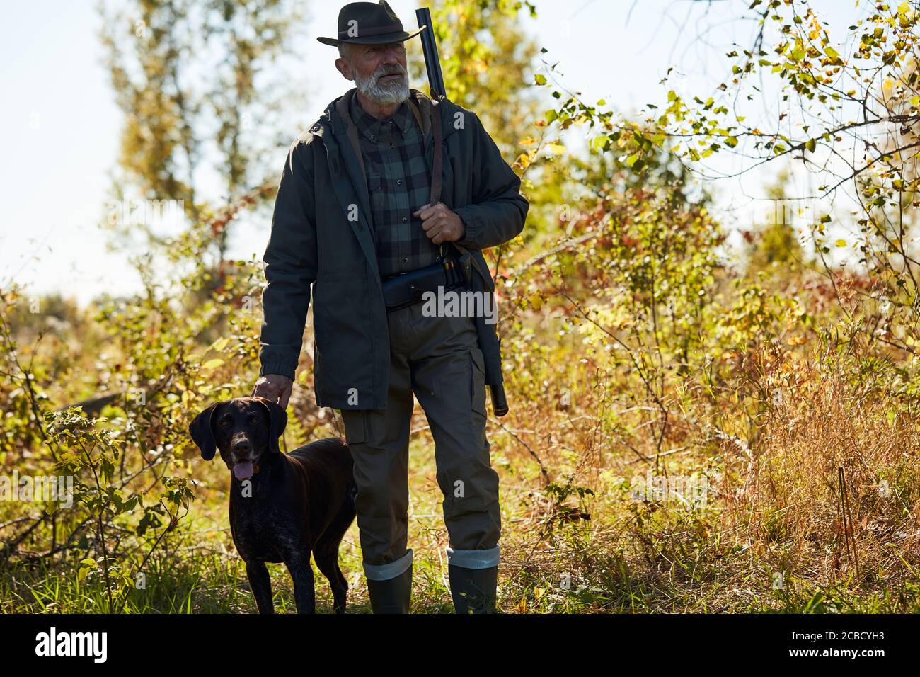 Animalshunting hi-res stock photography and images - Alamy