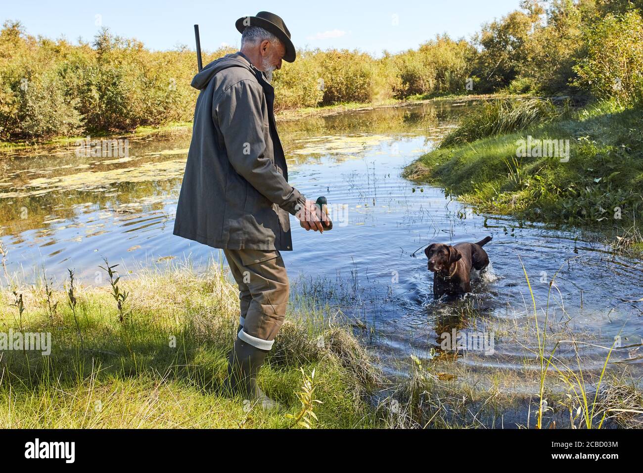 Hunter male came to lake to hunt on duck and caught one duck Stock ...