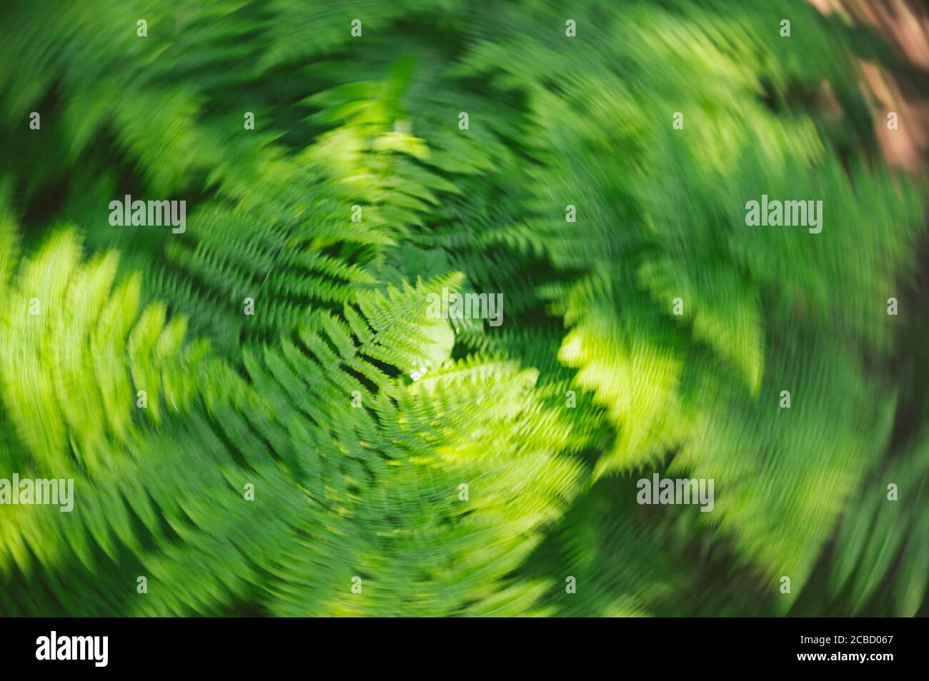 Rotating green hi-res stock photography and images - Alamy