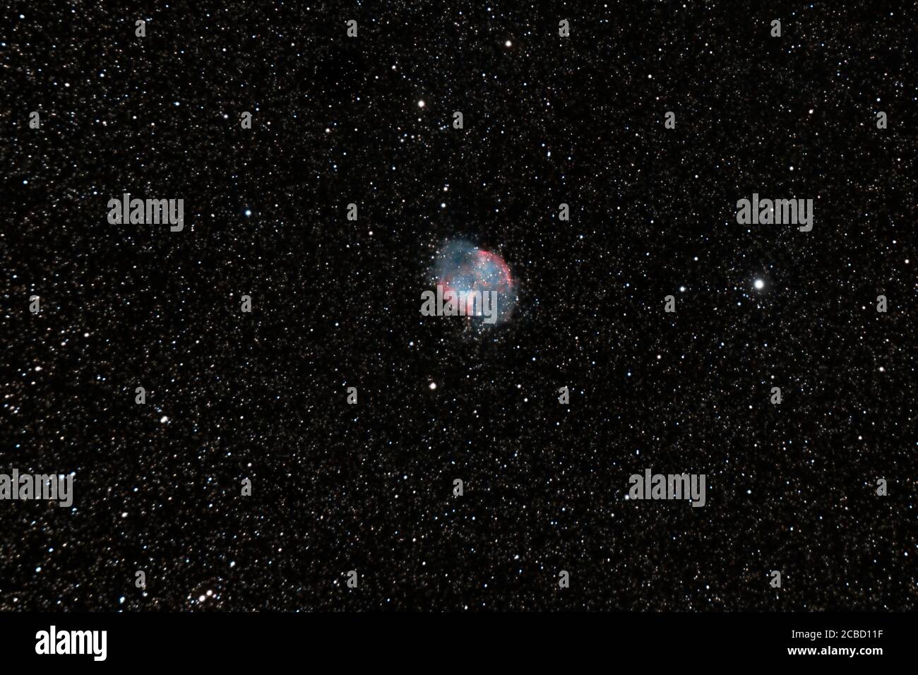 The Dumbbell Nebula from my backyard. Also known as Apple Core Nebula ...