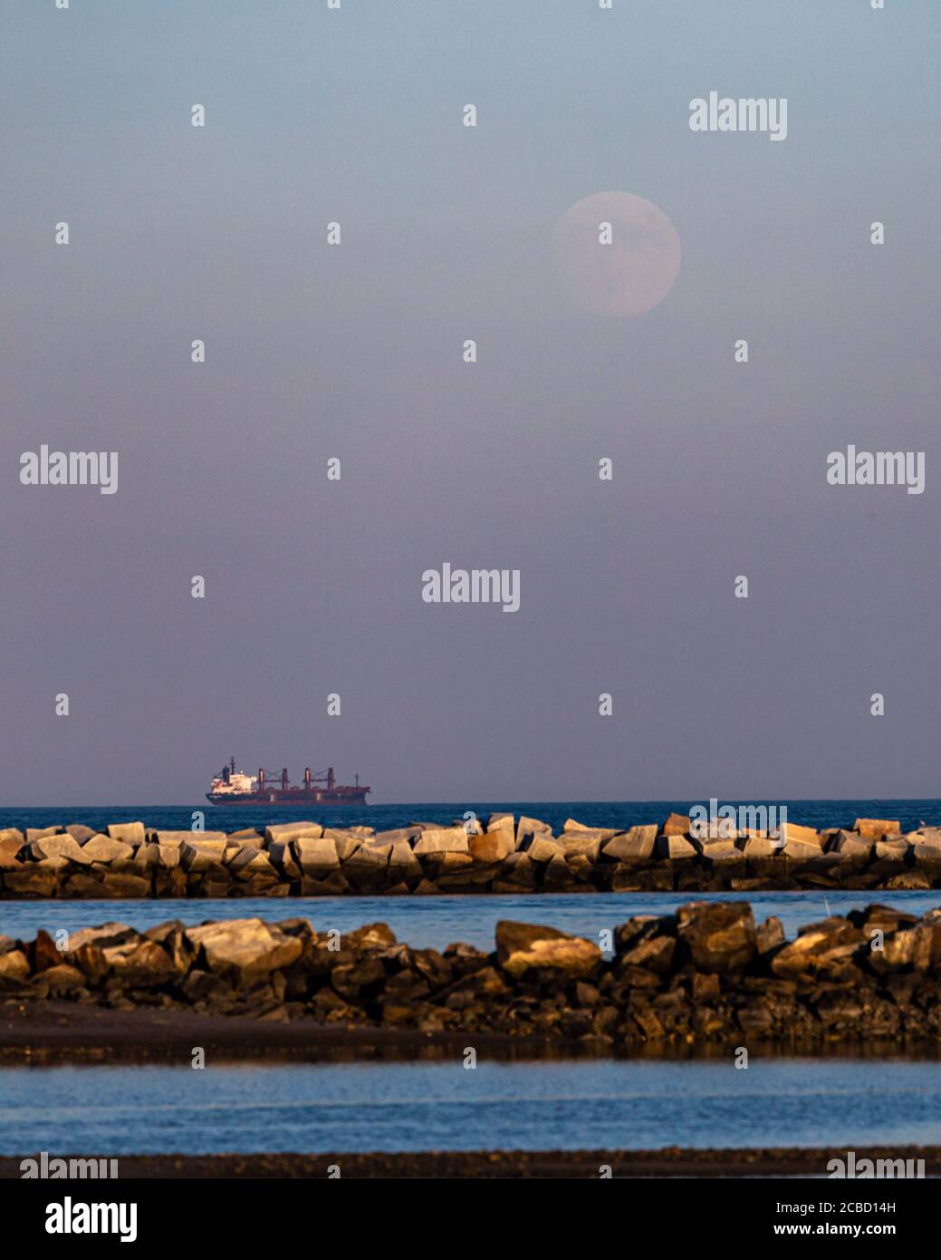 Pink moon above trees hi-res stock photography and images - Alamy