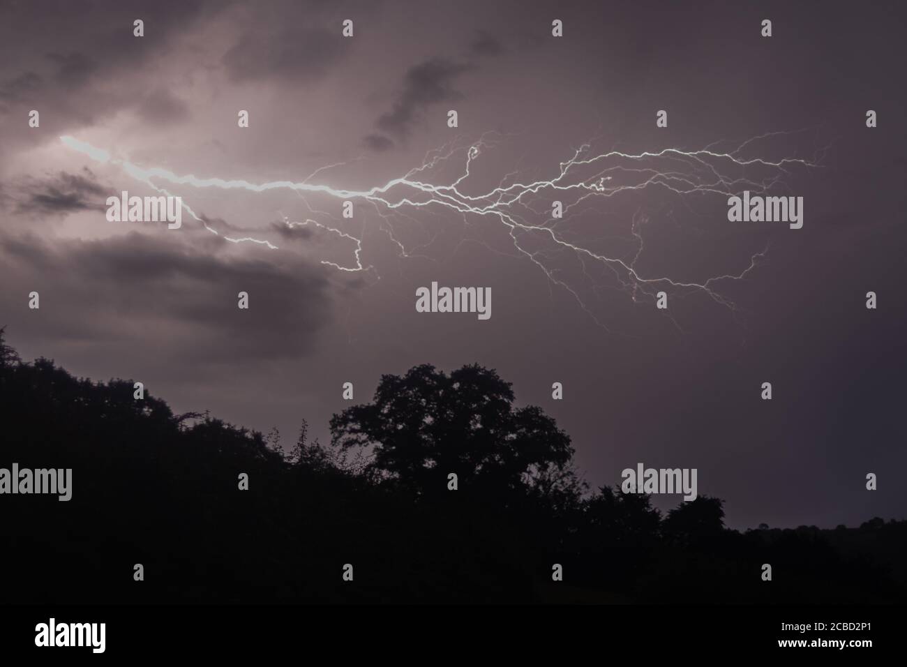 Ian talley hi-res stock photography and images - Alamy