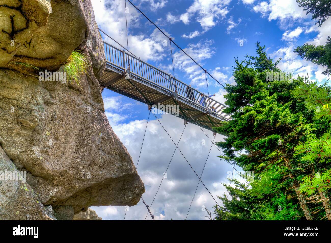 Grandfather Mountain Bridge