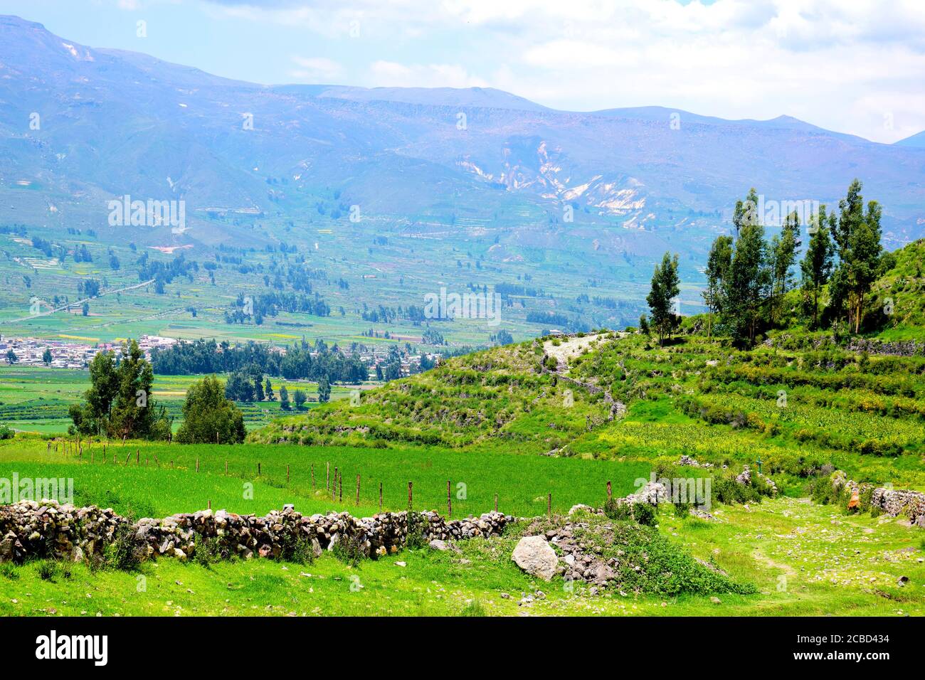 Peru new zealand hi-res stock photography and images - Alamy