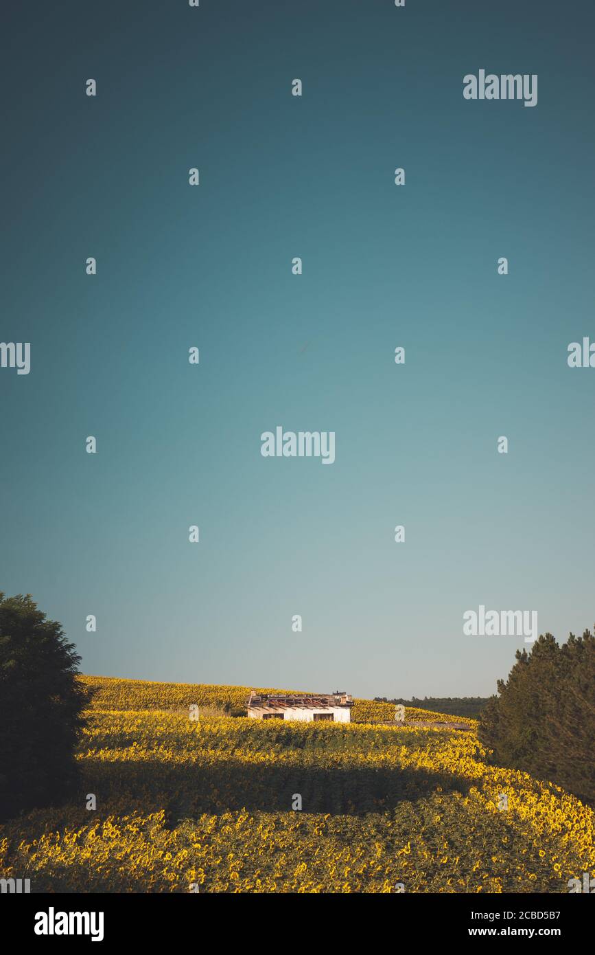 Rural flower field old house hi-res stock photography and images - Alamy