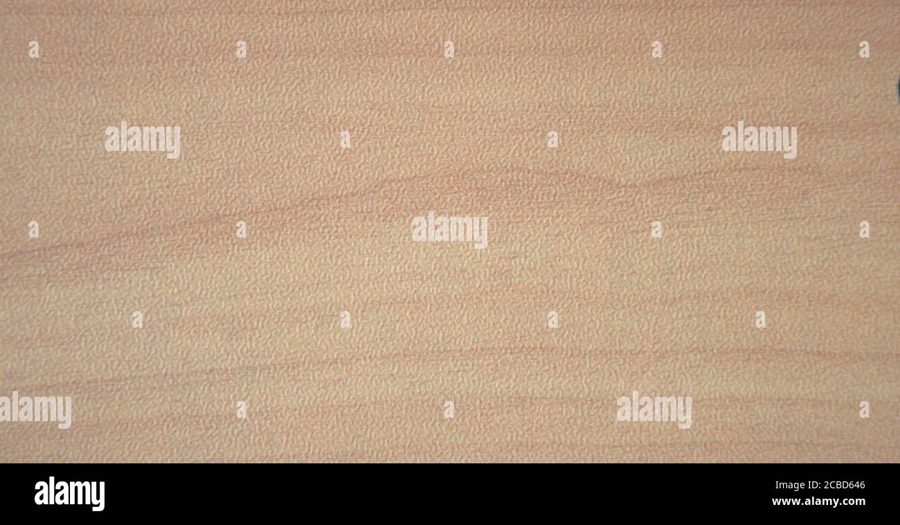 Light beech, rich and textured natural wood pattern. Horizontal positioning Stock Photo - Alamy