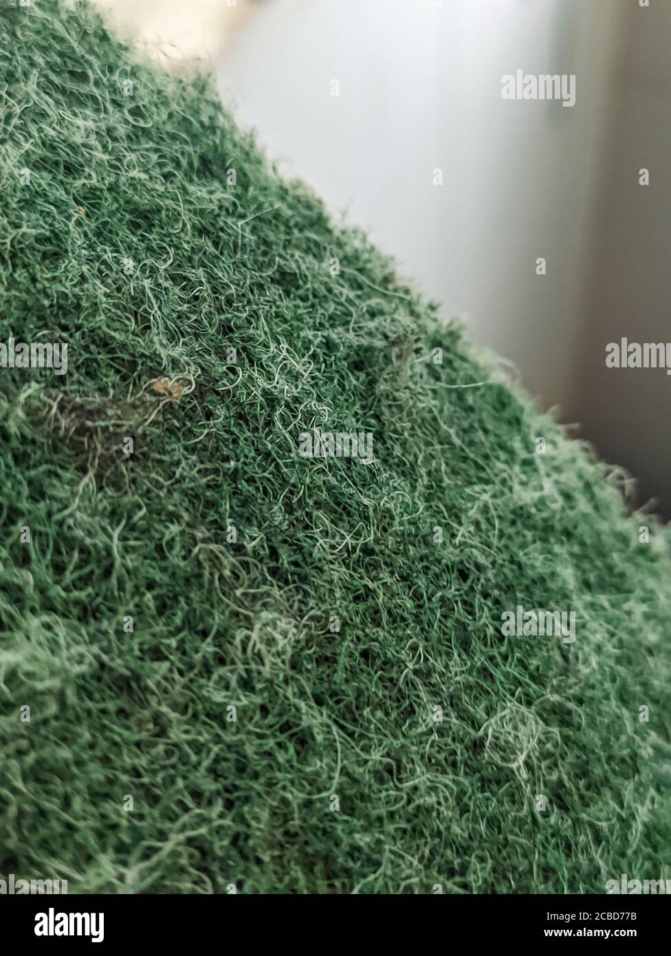 Green scrubber hi-res stock photography and images - Alamy