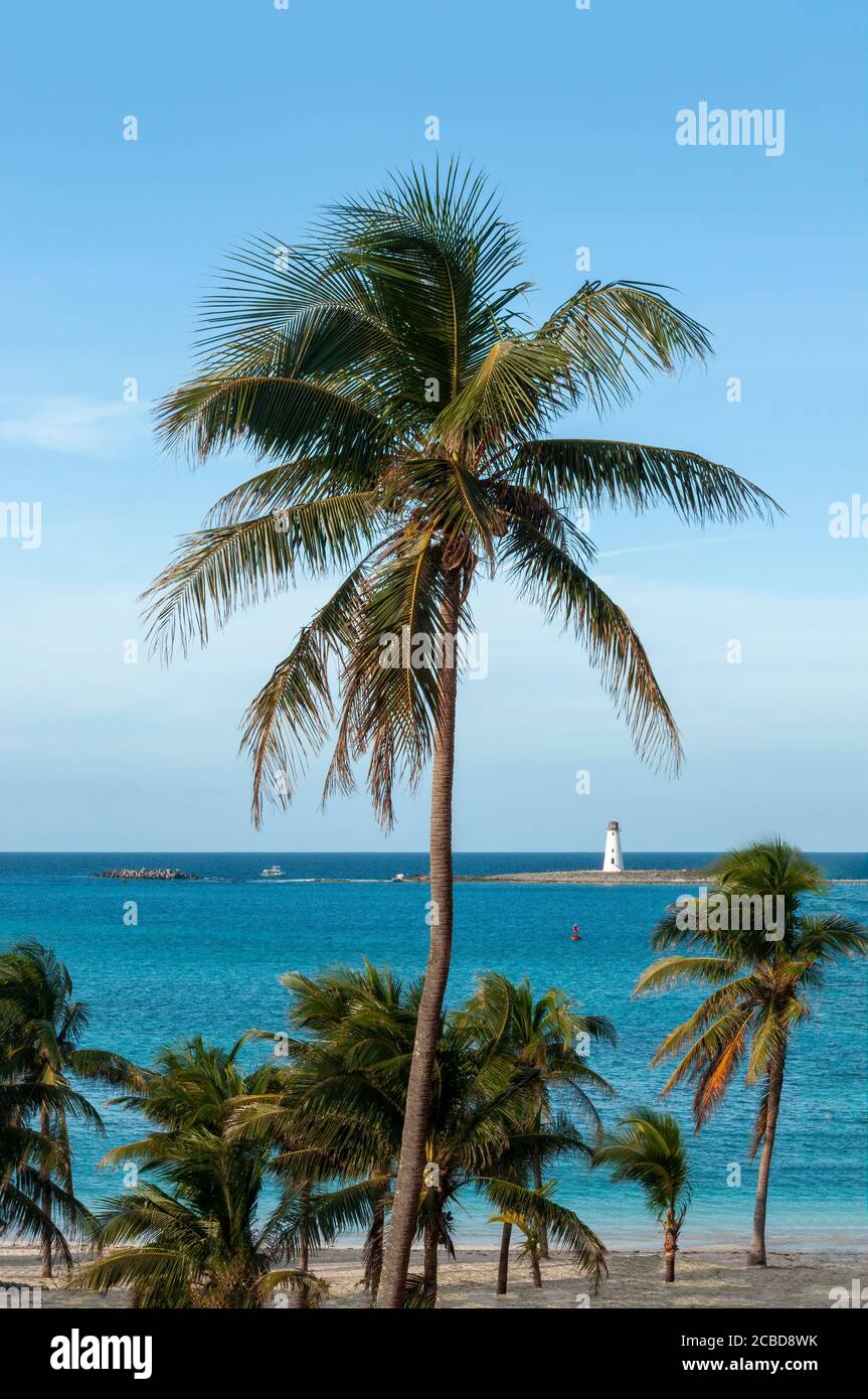 View of the lighthouse and beautiful blue ocean through palm trees ...