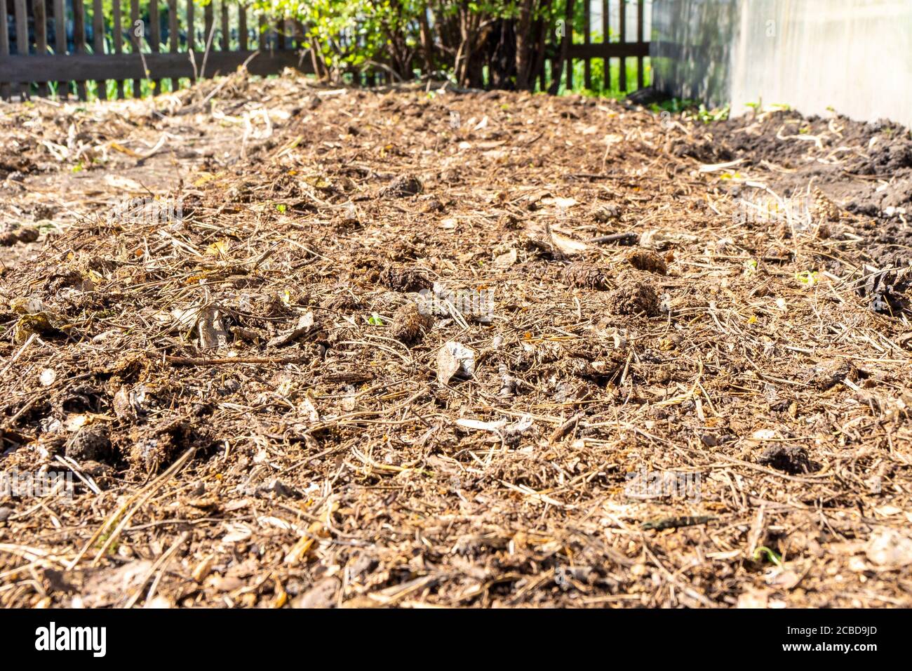 mulching soil with coniferous litter to protect against weathering and ...