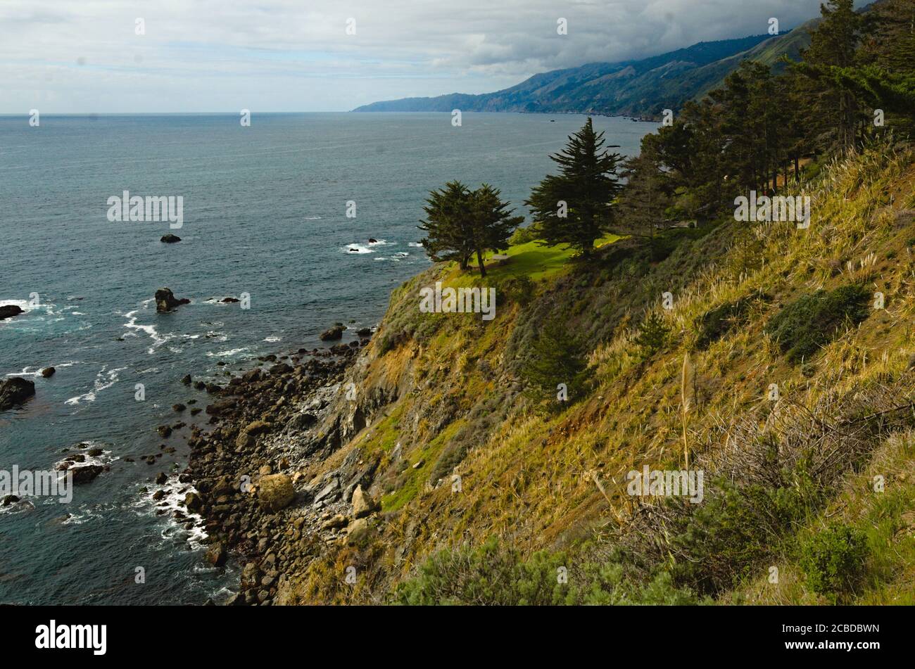 Coastal spring beauty, landscape showing lush vegetation including ...