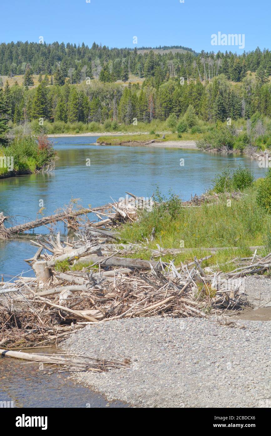 The peaceful Buffalo Fork River flowing through the Grand Teton ...